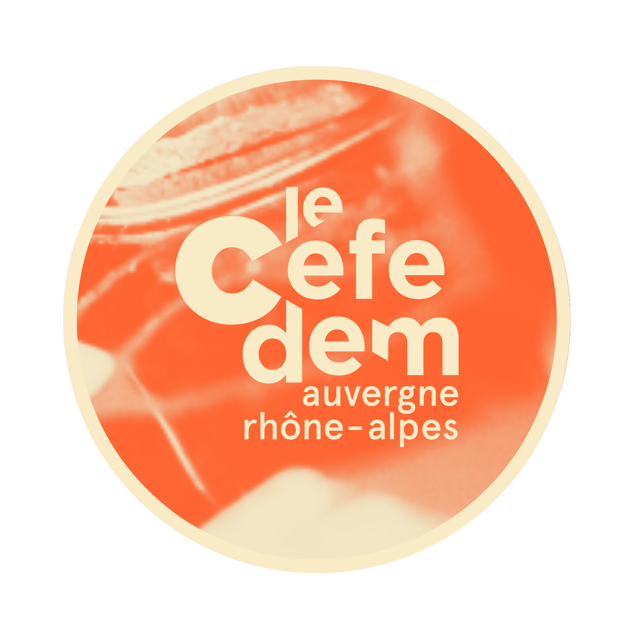 Cefedem | Formulaire de renseignement